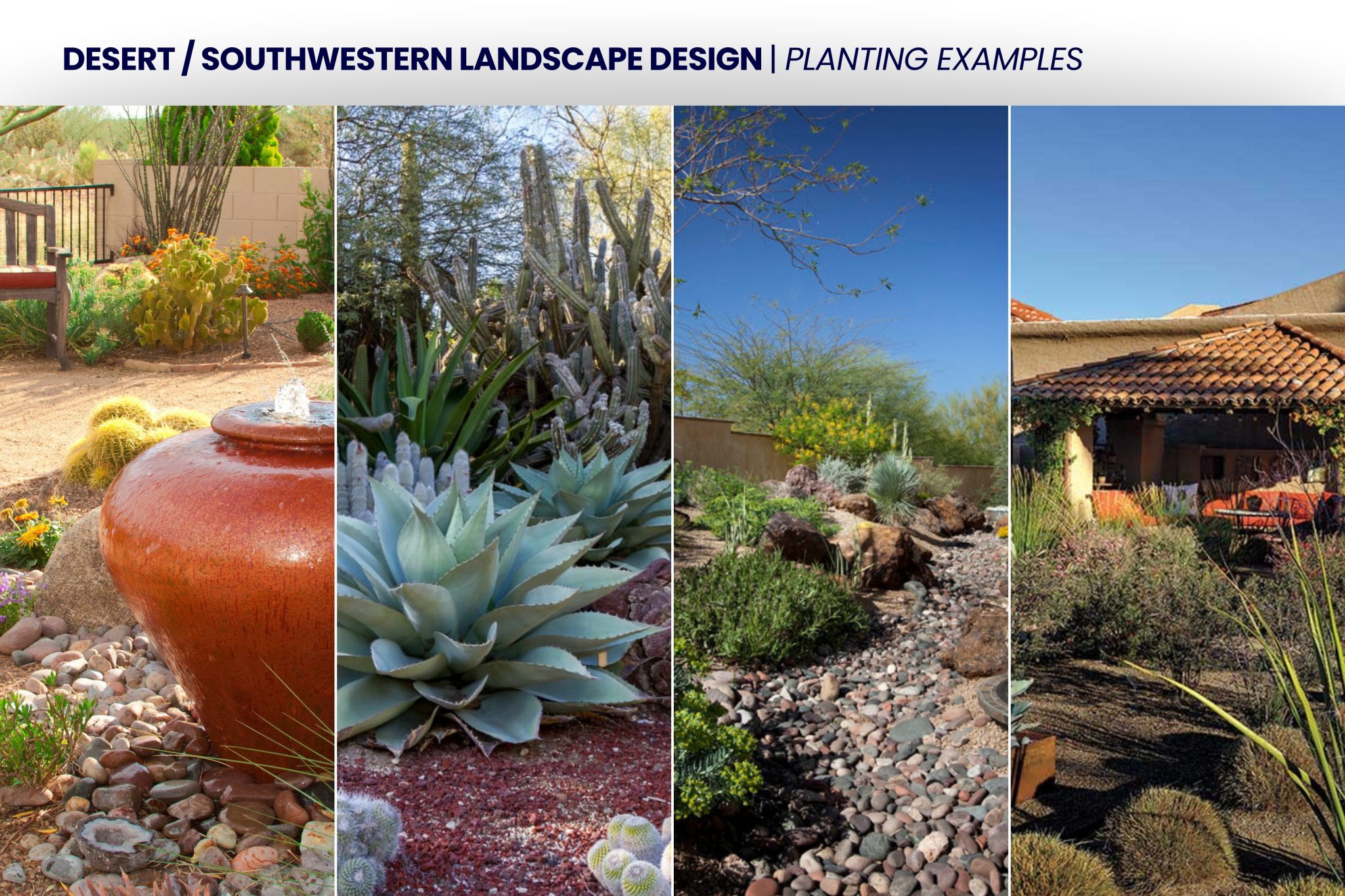 Desert & Southwestern Landscape Design Inspiration