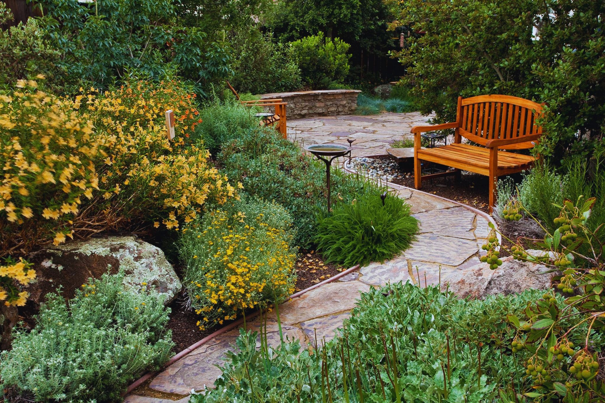 Native or Traditional Landscaping: What’s Trending in 2026?